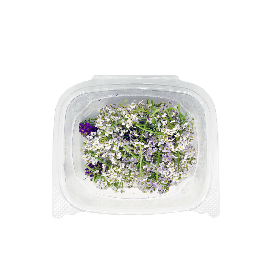 Edible Flowers - Nosh Produce | Edible Flowers, Microgreens & Specialty ...