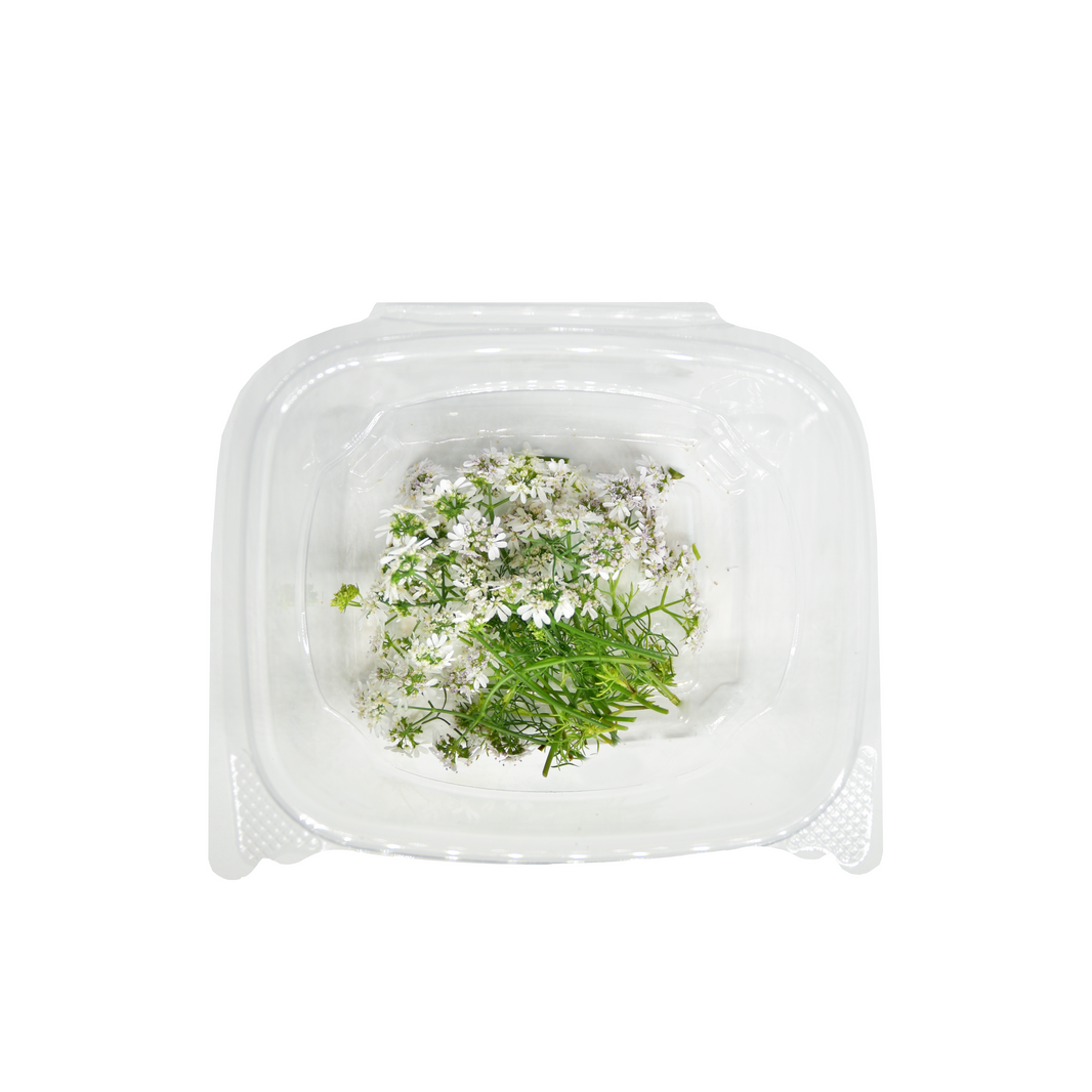 Shop All Things Fresh – Nosh Produce