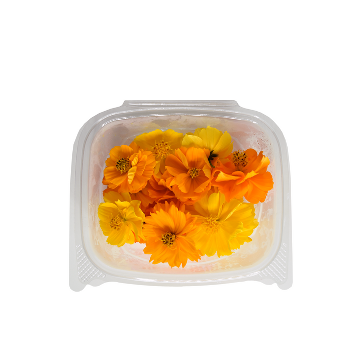 Shop All Things Fresh – Nosh Produce