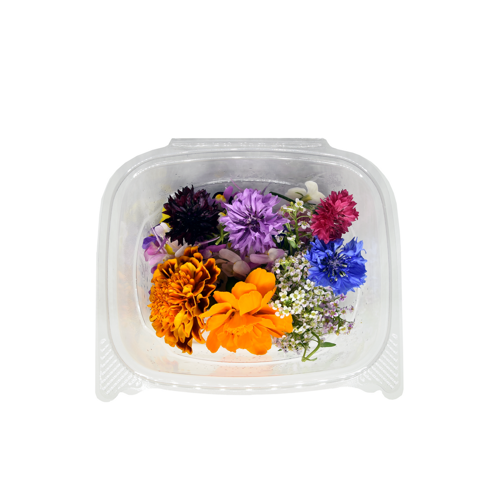 Edible Flowers Mix Blooms Box - Nosh Produce | Edible Flowers ...