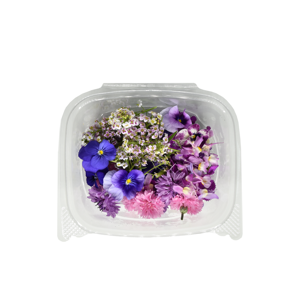 [NEW] Colour Collection - Edible Flowers Mix Bloom Box – Nosh Produce