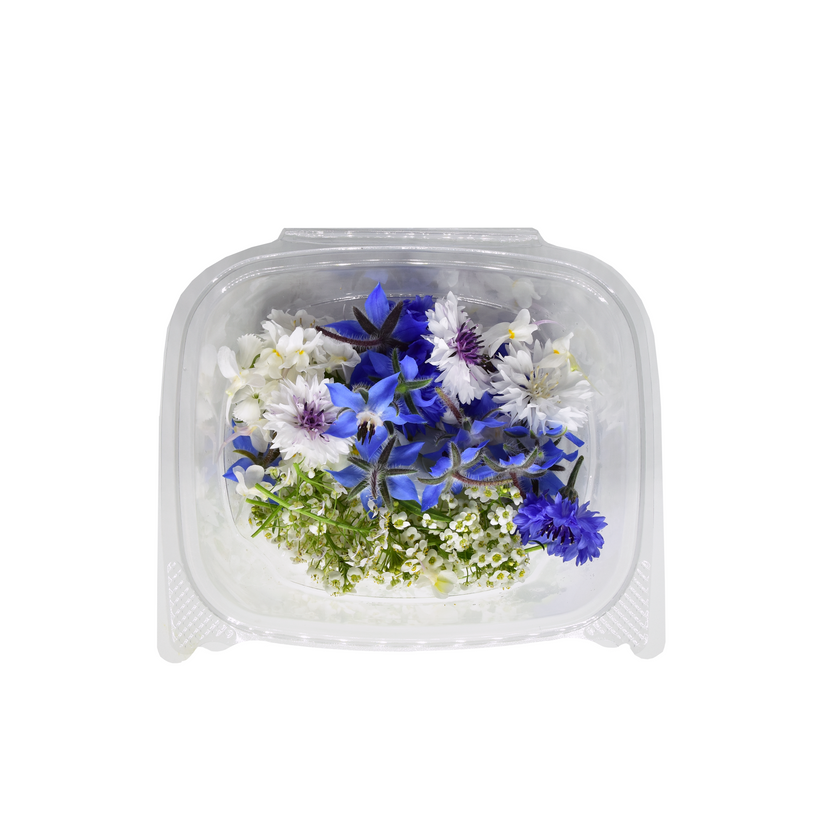 [NEW] Colour Collection - Edible Flowers Mix Bloom Box – Nosh Produce