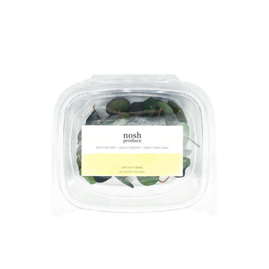 Shop All Things Fresh – Page 2 – Nosh Produce