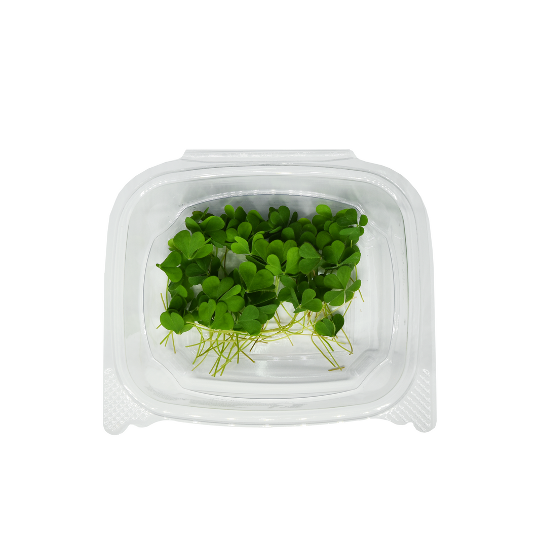 Nosh Produce | Fresh, Locally Grown Edible Flowers & Microgreens