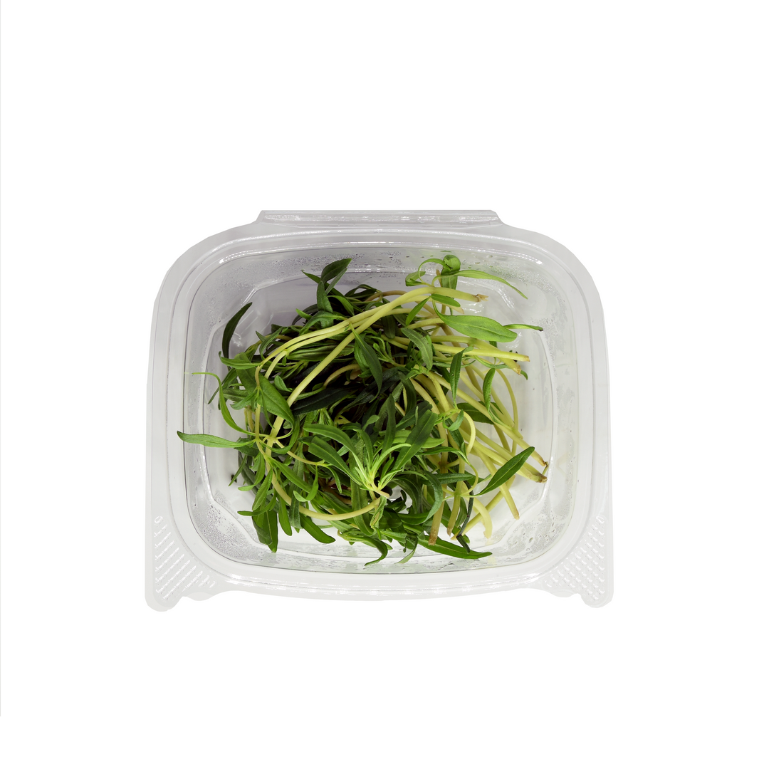 Fresh Herb Packs – Nosh Produce