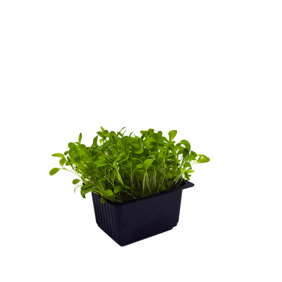 Micro Green Sorrel - Nosh Produce | Microgreens, Edible Flowers ...