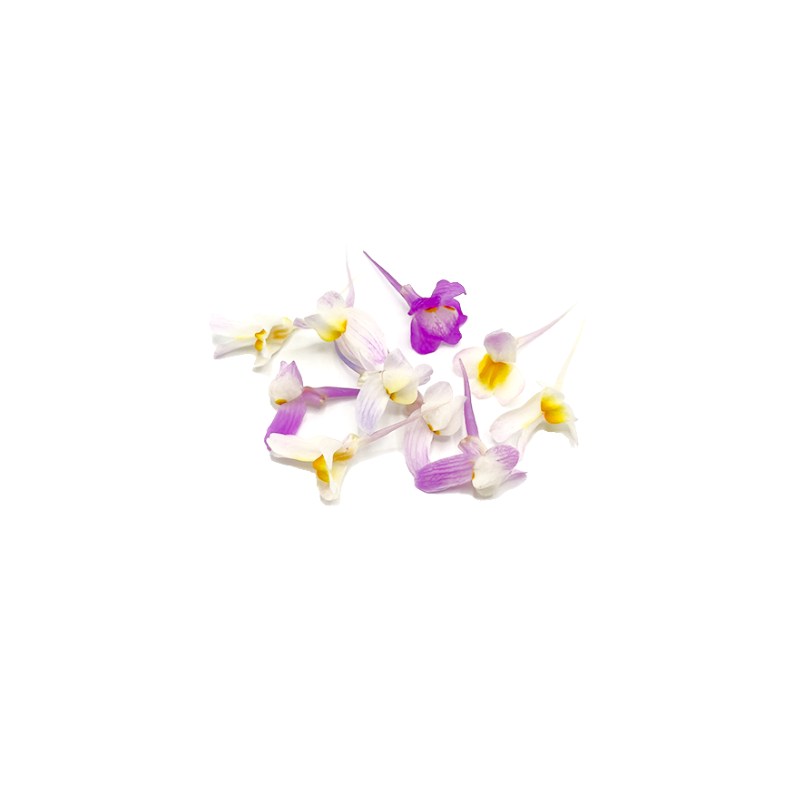 Linaria Bloom Box - Nosh Produce | Edible Flowers, Microgreens ...