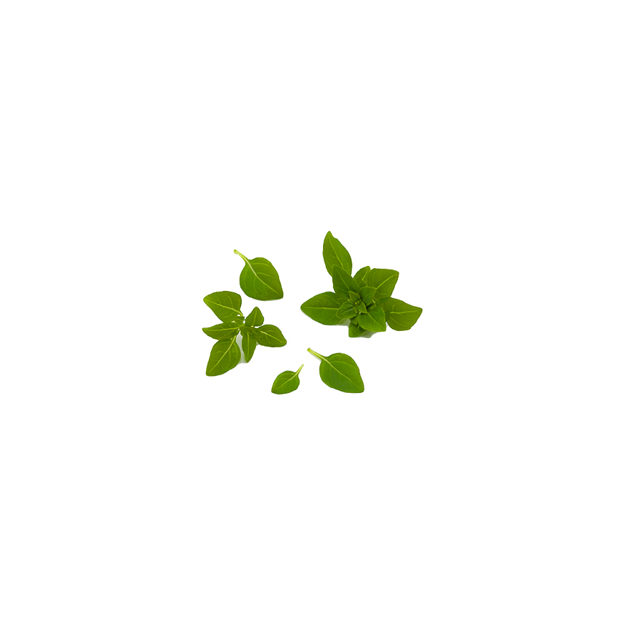 Mini Basil Herb Pack - Nosh Produce | Edible Flowers, Microgreens ...