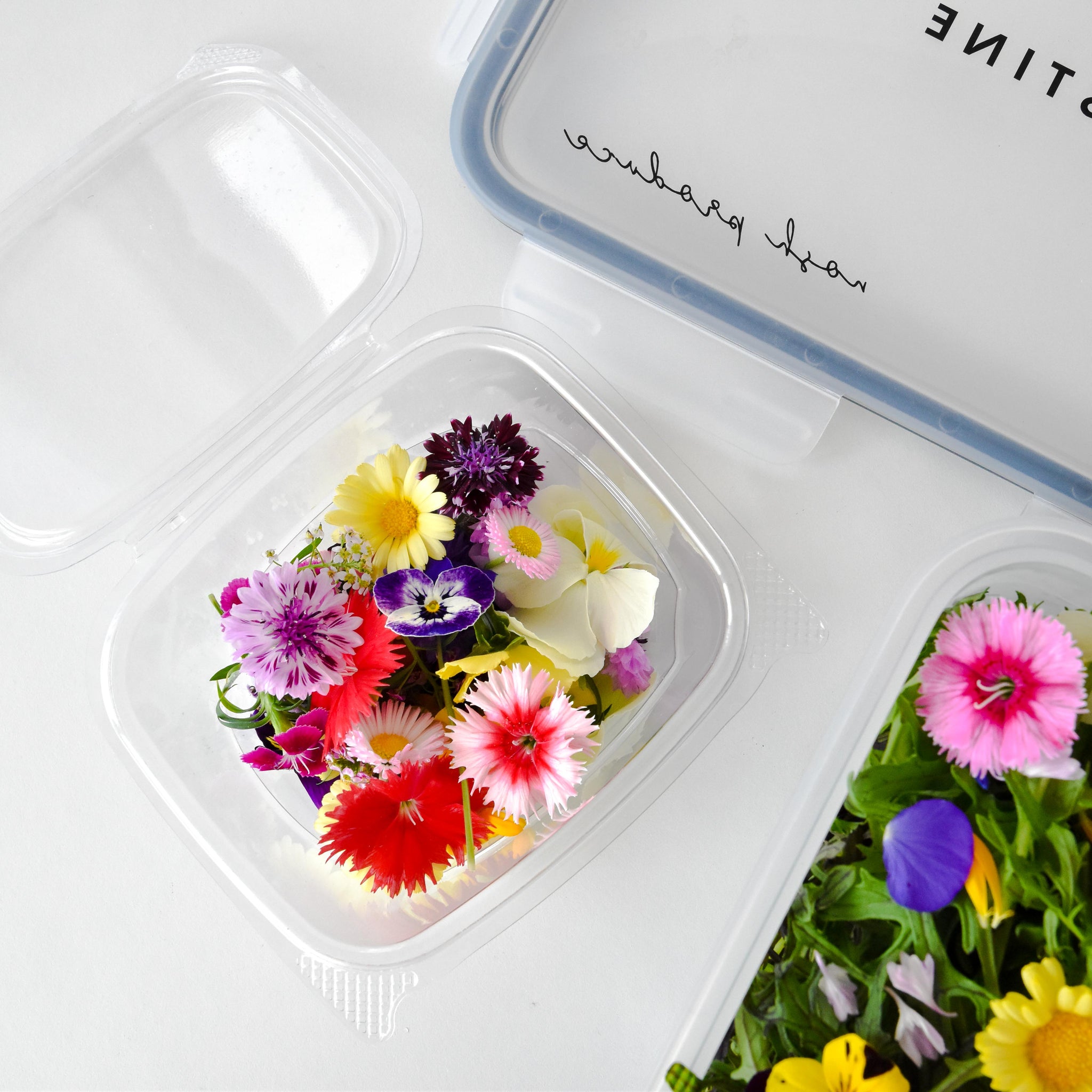 Edible Flowers Mix Blooms Box - Nosh Produce | Edible Flowers ...