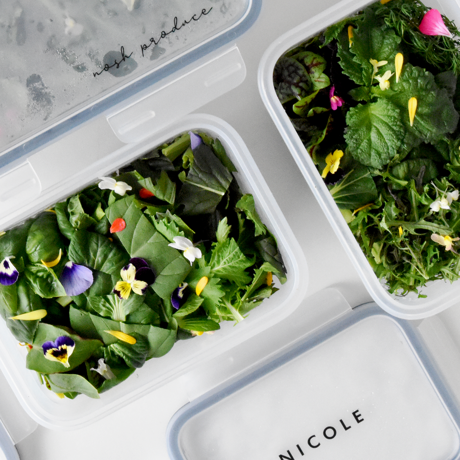 Shop All Things Fresh – Page 2 – Nosh Produce