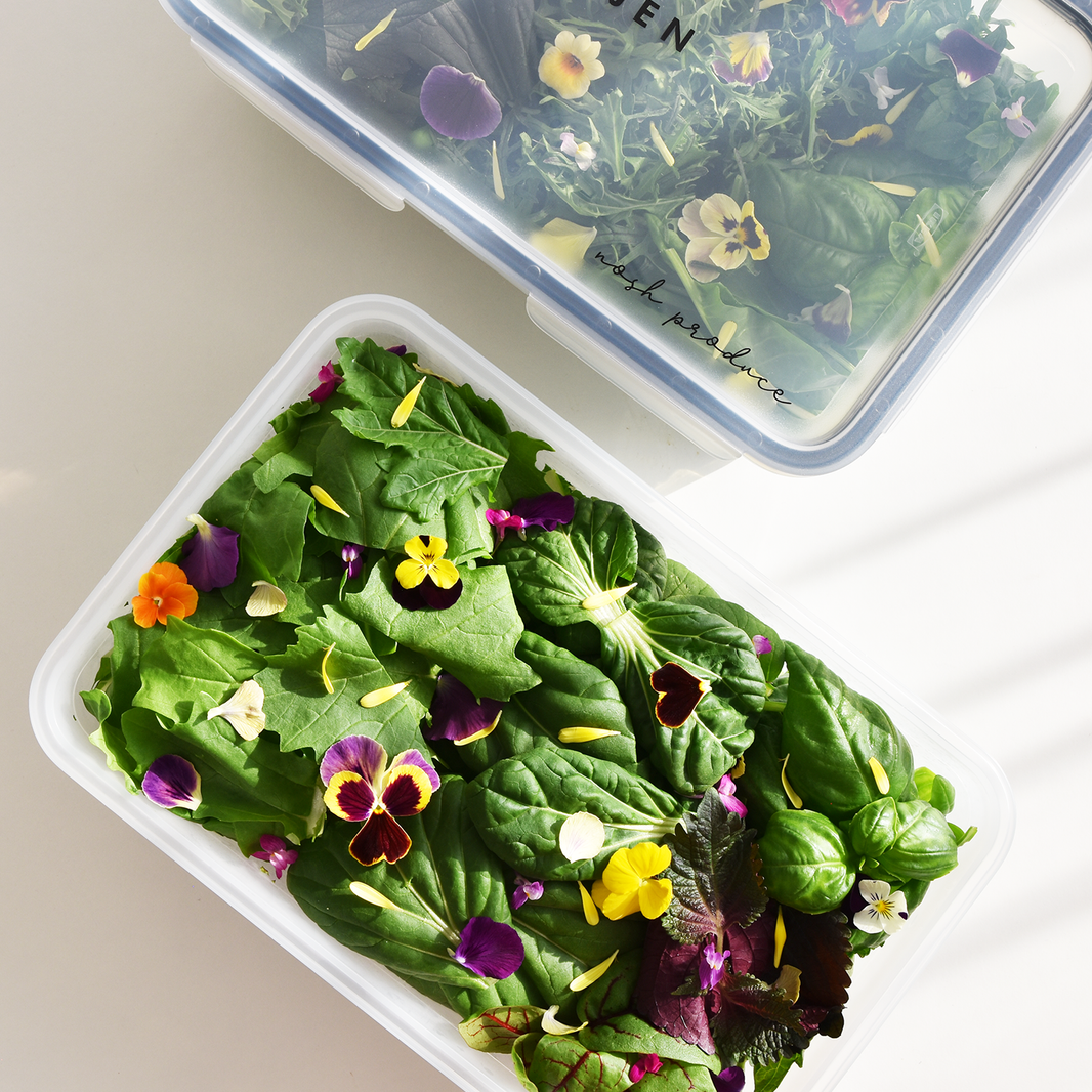 Shop All Things Fresh – Nosh Produce